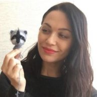 IRIS-TOYS Аватар автора