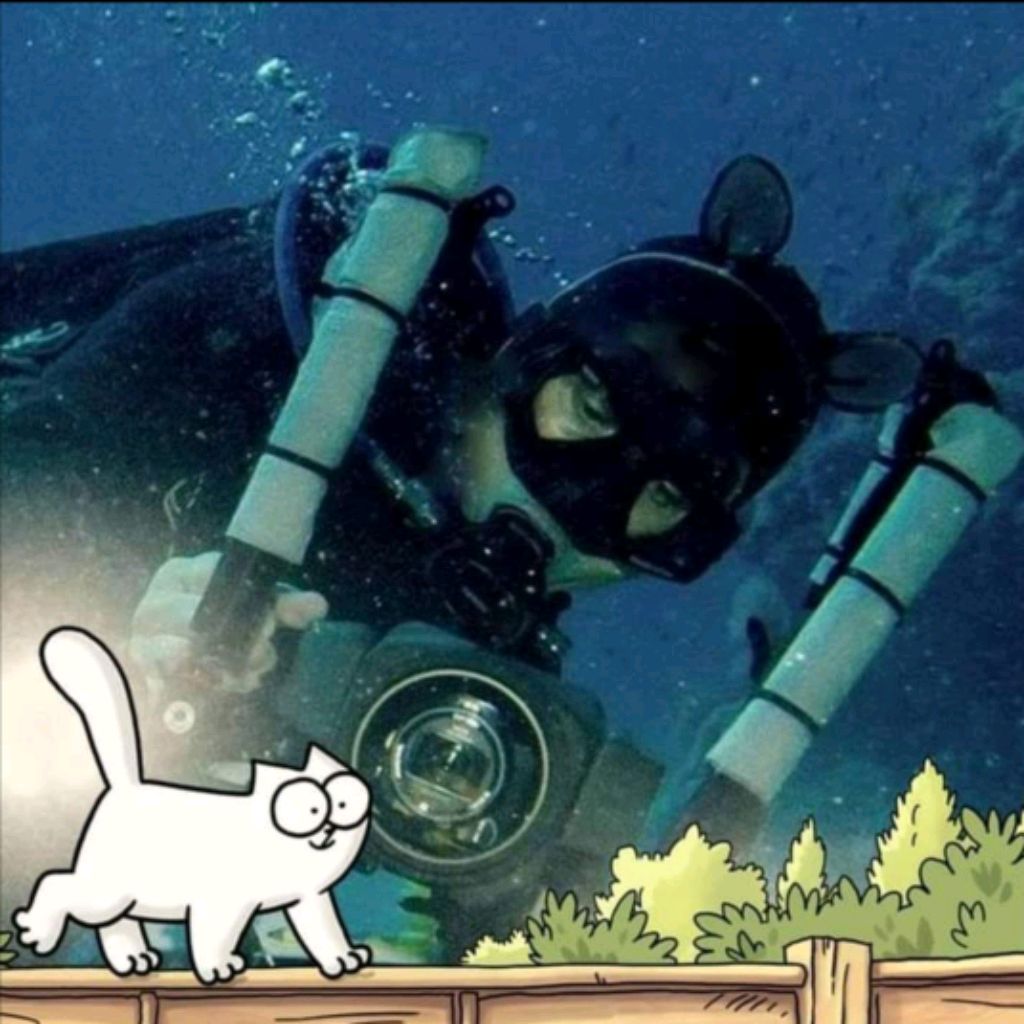 Море и Май