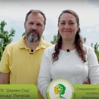 DerevoSad Аватар автора