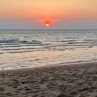 Pattaya Paradise Аватар автора