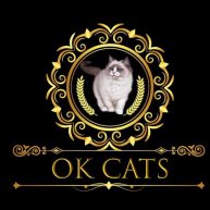 OKCATS Аватар автора