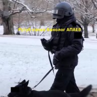 Кинолог АПАЕВ Аватар автора