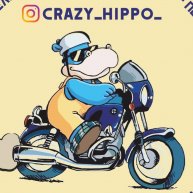 CrazyHippo Аватар автора