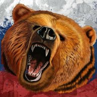 Grizzly Bear Аватар автора