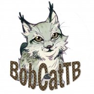 BobCat ТV Аватар автора