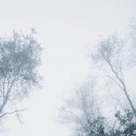 Info klad Аватар автора