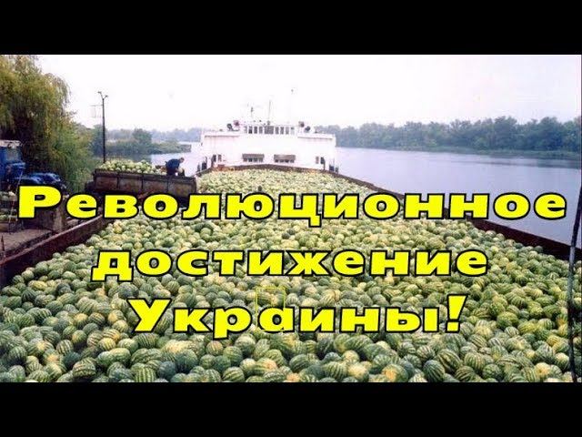 Мурада взорвали на диване