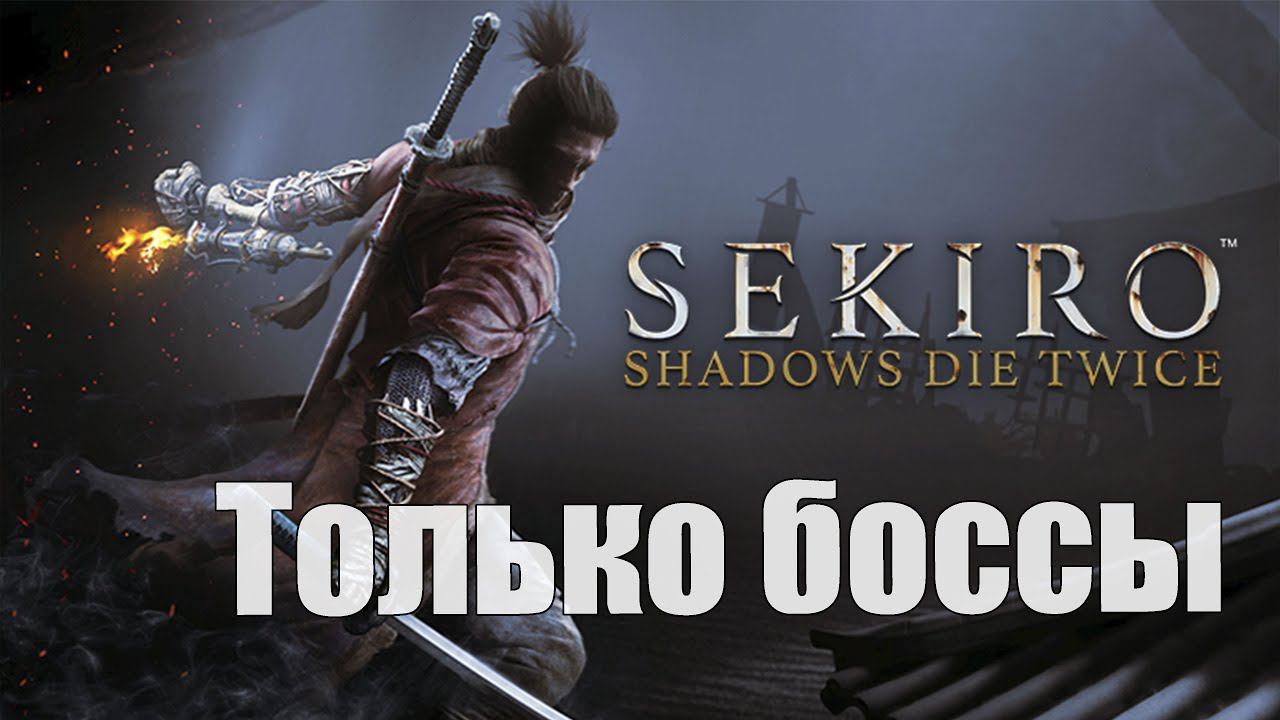 Sekiro Shadows Die Twice