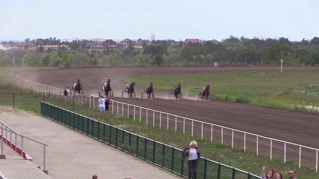 20240811 Беговой день 11 августа 2024 г. Крепыша Гибрида Дерби Кипра Вступительный Будущности