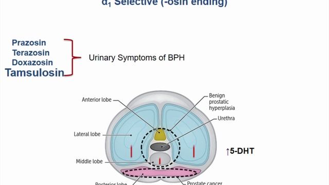 11/16 Фармакология - (2021) USMLE RX Pharmacology