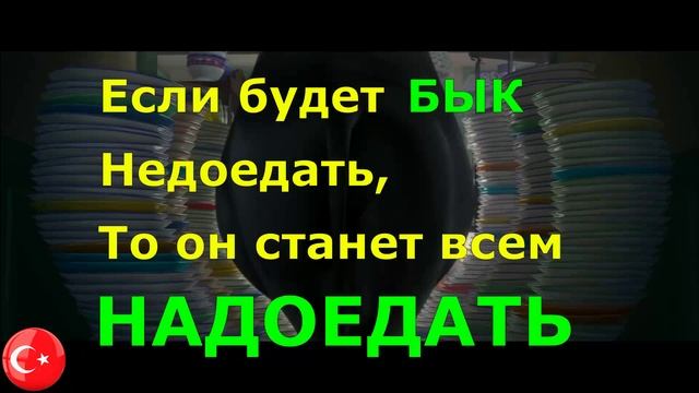 Турецкий язык для начинающих