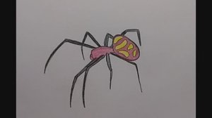 Как нарисовать насекомых и прочих многоногих