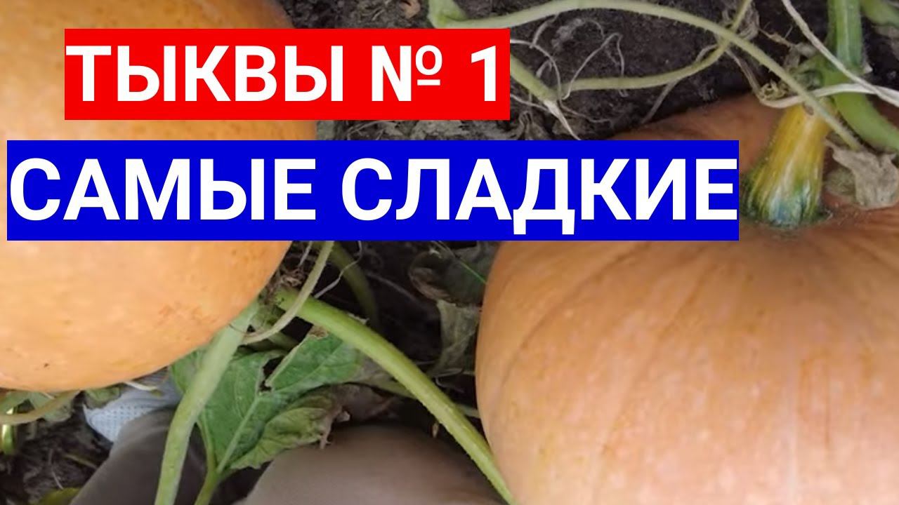 ТЫКВЫ