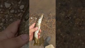 Рыбалка и природа