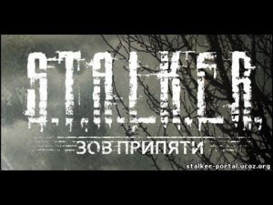 S.T.A.L.K.E.R Зов Припяти