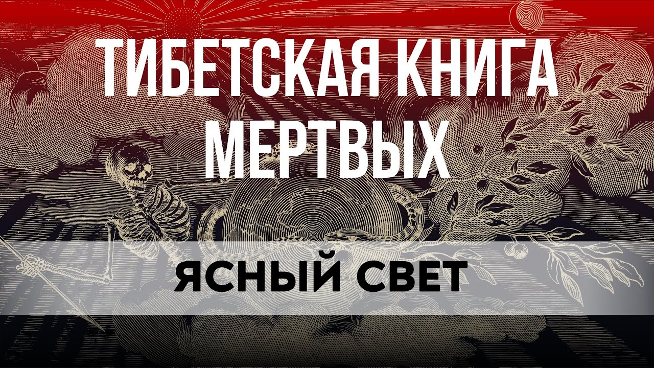 Книга мертвых – смотреть онлайн все 3 видео от Книга мертвых в хорошем  качестве на RUTUBE