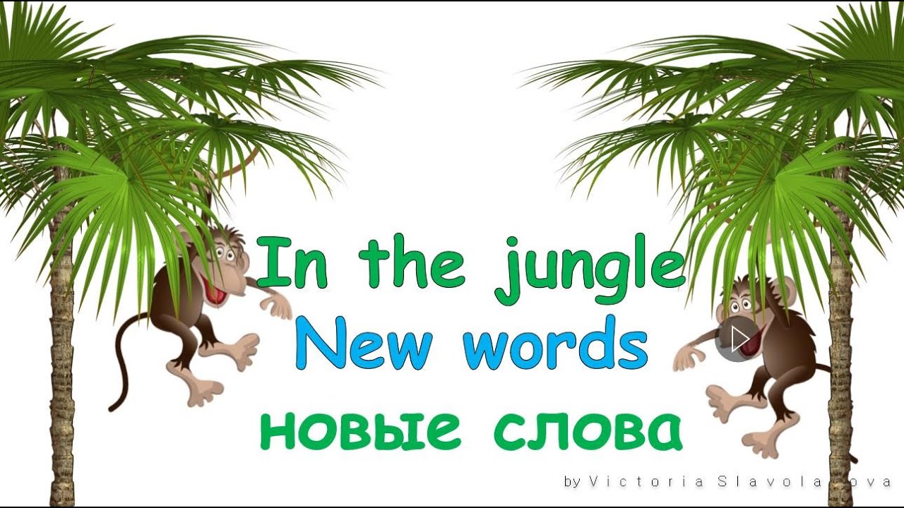 Английский для дошкольников (English for kids with Fly High 1) – смотреть  онлайн все 2 видео от Английский для дошкольников (English for kids with Fly  High 1) в хорошем качестве на RUTUBE