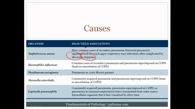 9/19 - Pathoma USMLE (2022): Патология Дыхательных путей