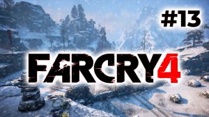 Far Cry 4