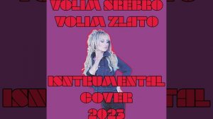 Volim srebro volim zlato Instrumental Cover (Refren 2023)