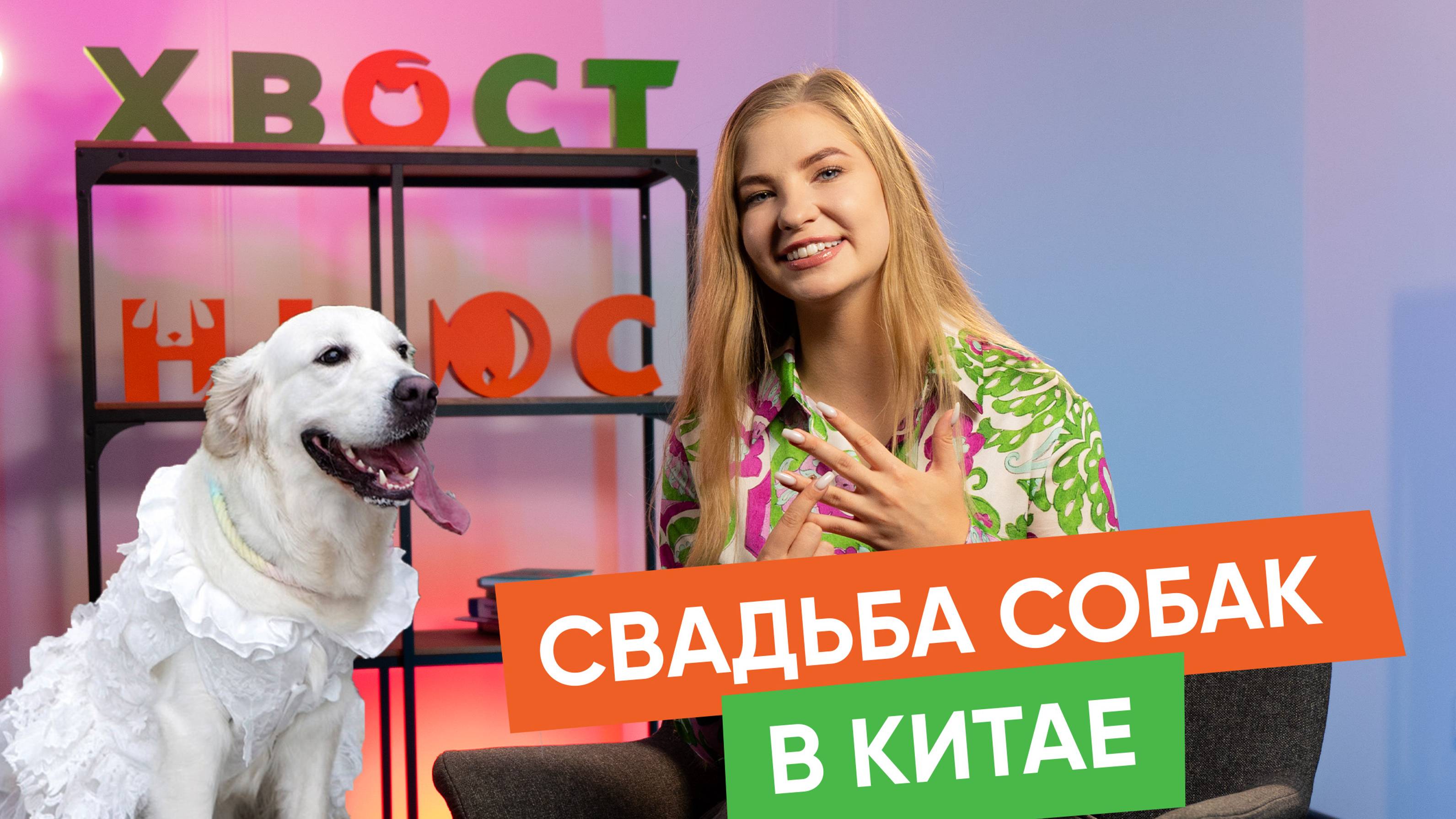 Новости недели от ″Хвост Ньюс″