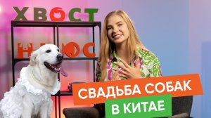 Новости недели от ″Хвост Ньюс″