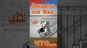 знаете ли вы, что?