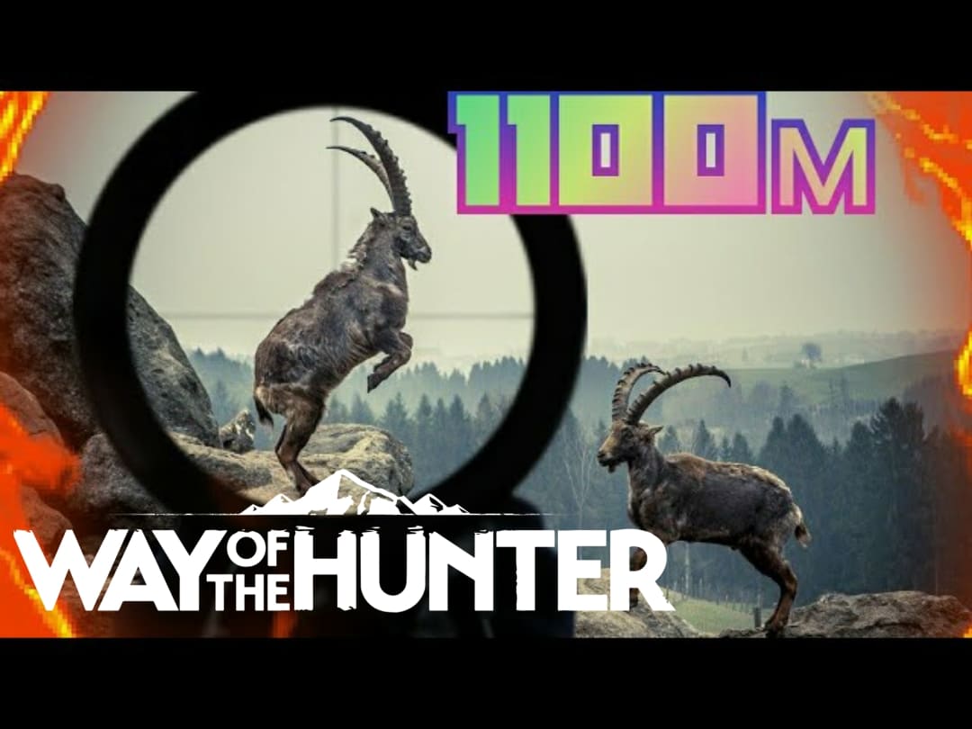 Прохождение Way Of The Hunter