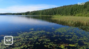 Прогулки по воде / Walking on the water