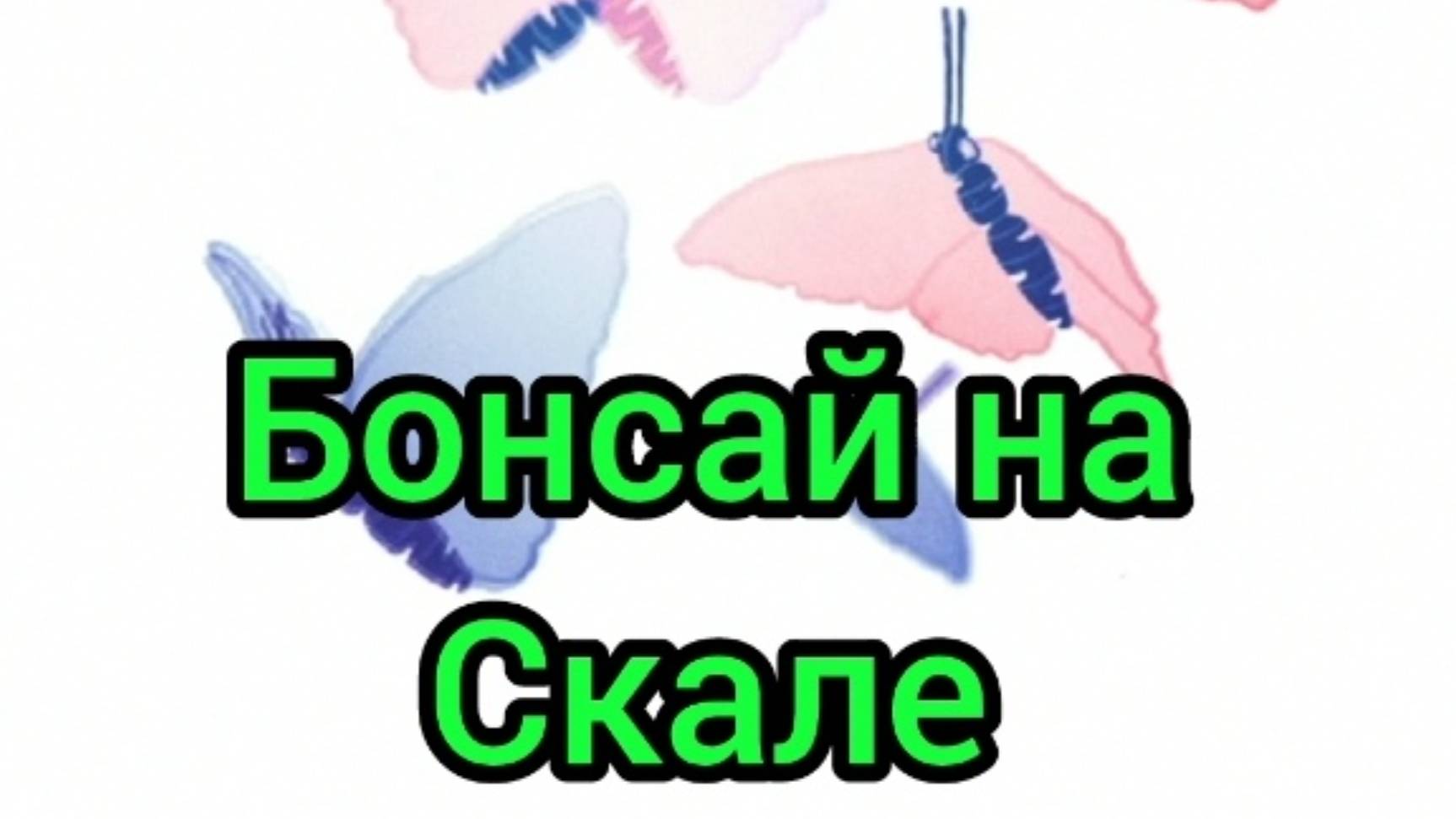 Бонсай на скале