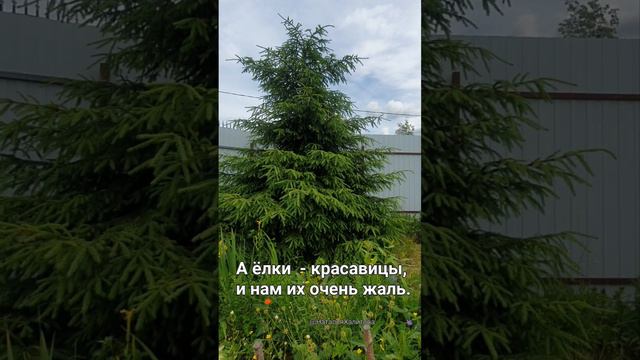 Творим с детьми