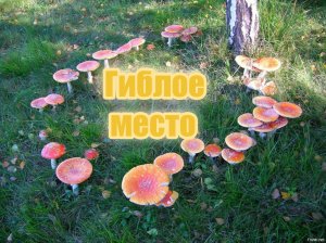 Мистические истории.