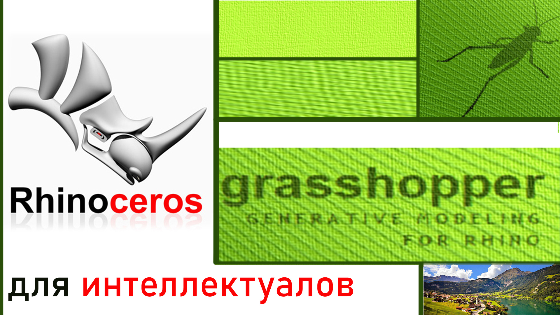 Grasshopper для начинающих!