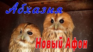 Абхазия