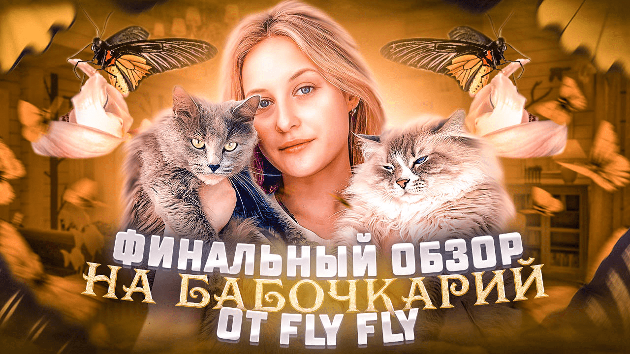 Бабочкарий «Fly-Fly» – смотреть онлайн все 3 видео от Бабочкарий «Fly-Fly»  в хорошем качестве на RUTUBE