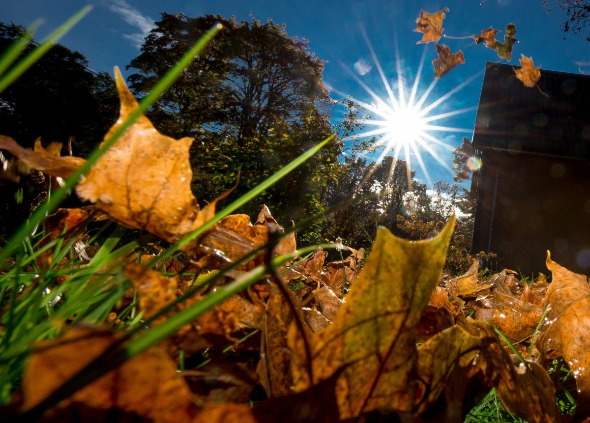 Видеоальбом ″Дорога в небо″