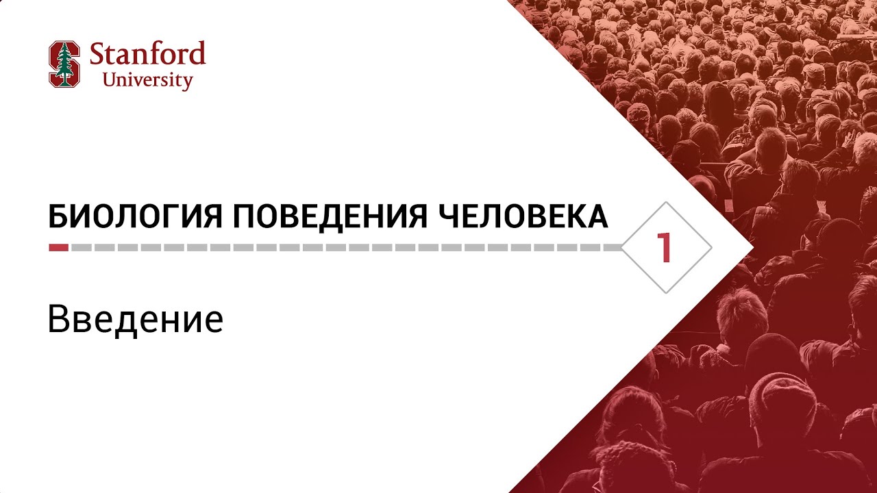 Роберт Сапольски «Биология поведения человека». Стенфорд, 2010 г.