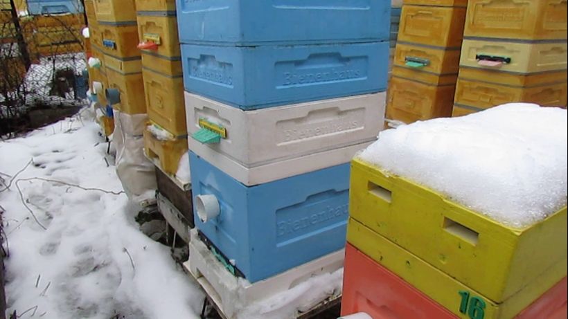 ремень для улья - удобные приспособления для пчеловодства ( фото и видео )