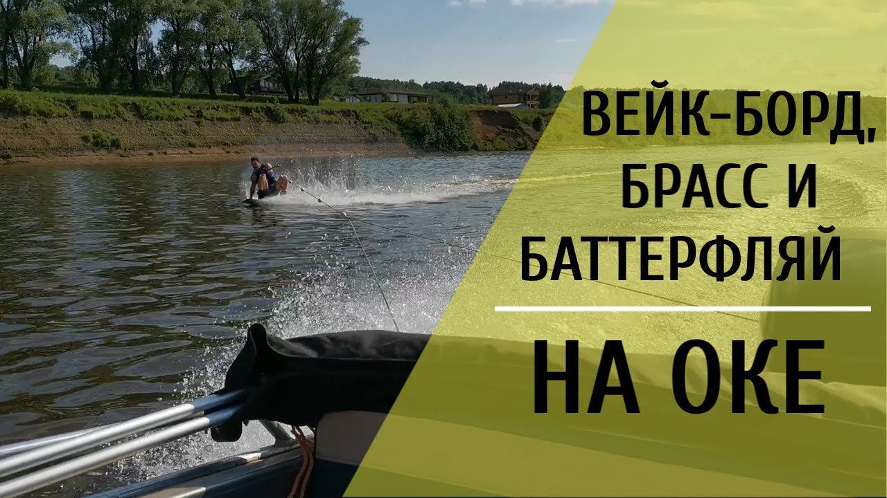 Водомоторники