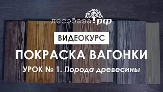 Покраска вагонки. Видеокурс