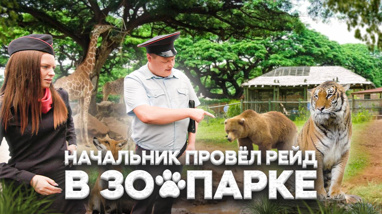Тот самый мент I Выпуск 48 I Начальник провел рейд в зоопарке