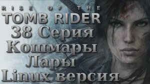 Восхождение расхитительницы гробниц - (Rise of the Tomb Raider - Linux версия)