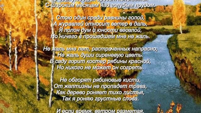 Литературные сезоны