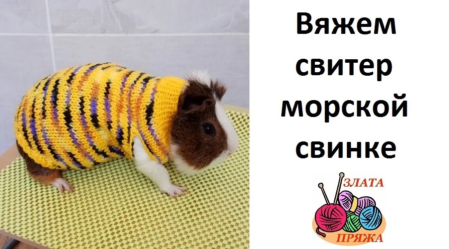 Вязание для грызунов