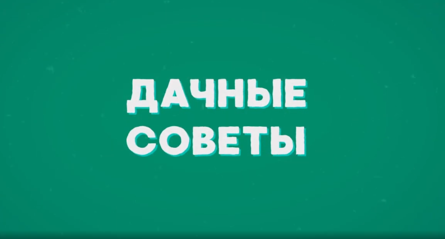 Советы дачникам