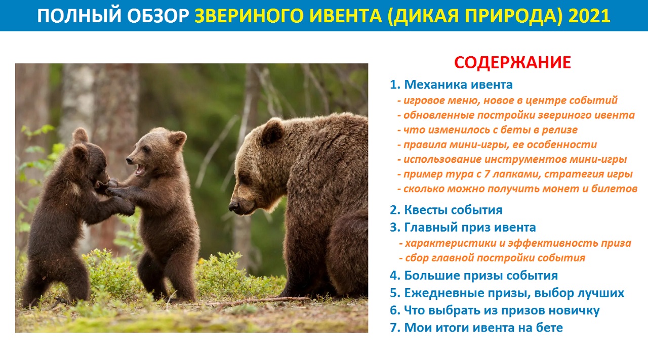 Wildlife прохождение на русском без цензуры