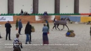 Шоу арабских лошадей