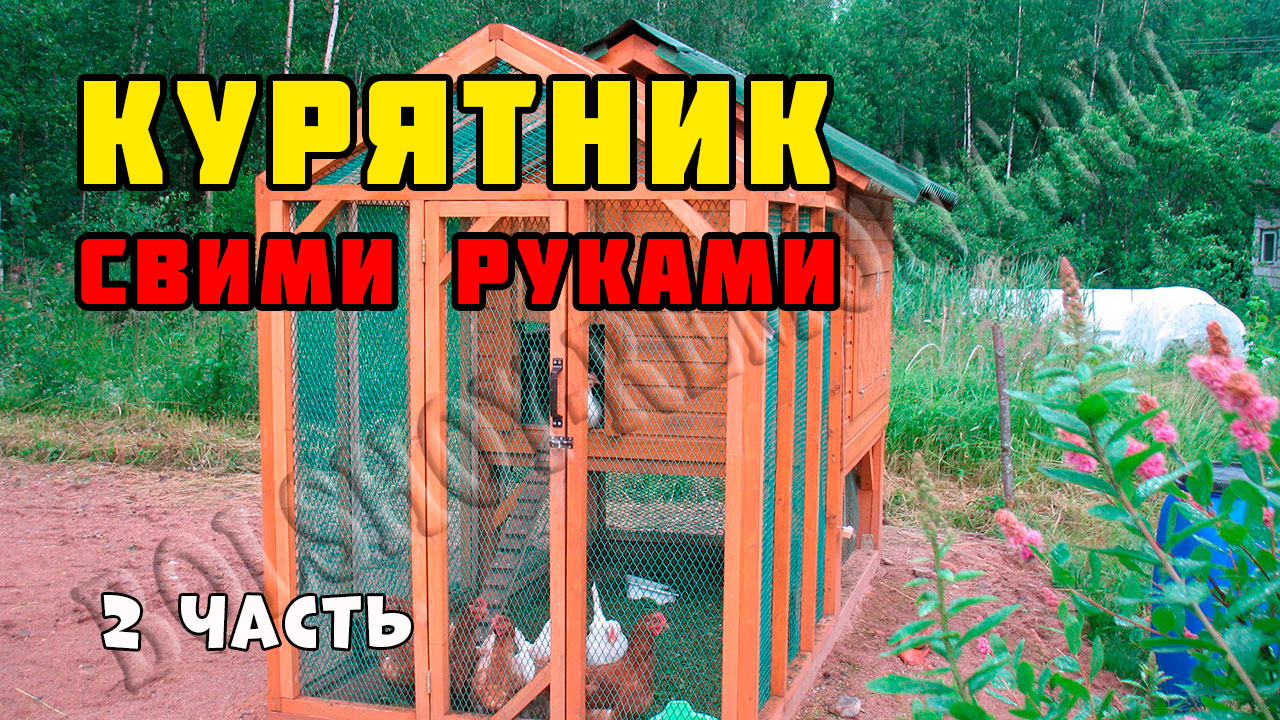 Курятник в сосновом лесу. Своими руками - Видео - Журнал - FORUMHOUSE