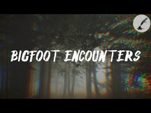 Bigfoot