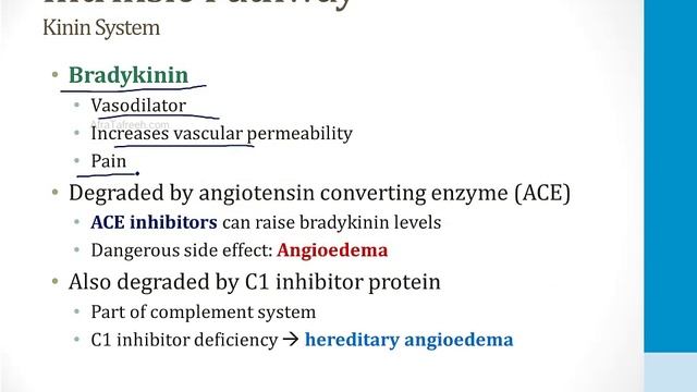 15/17 - ГЕМАТОЛОГИЯ (для USMLE 2022): Boards&amp;Beyond - Hematology (STEP 1)